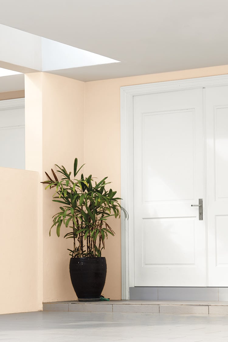 Jotashield Infinity | Jotun Indonesia