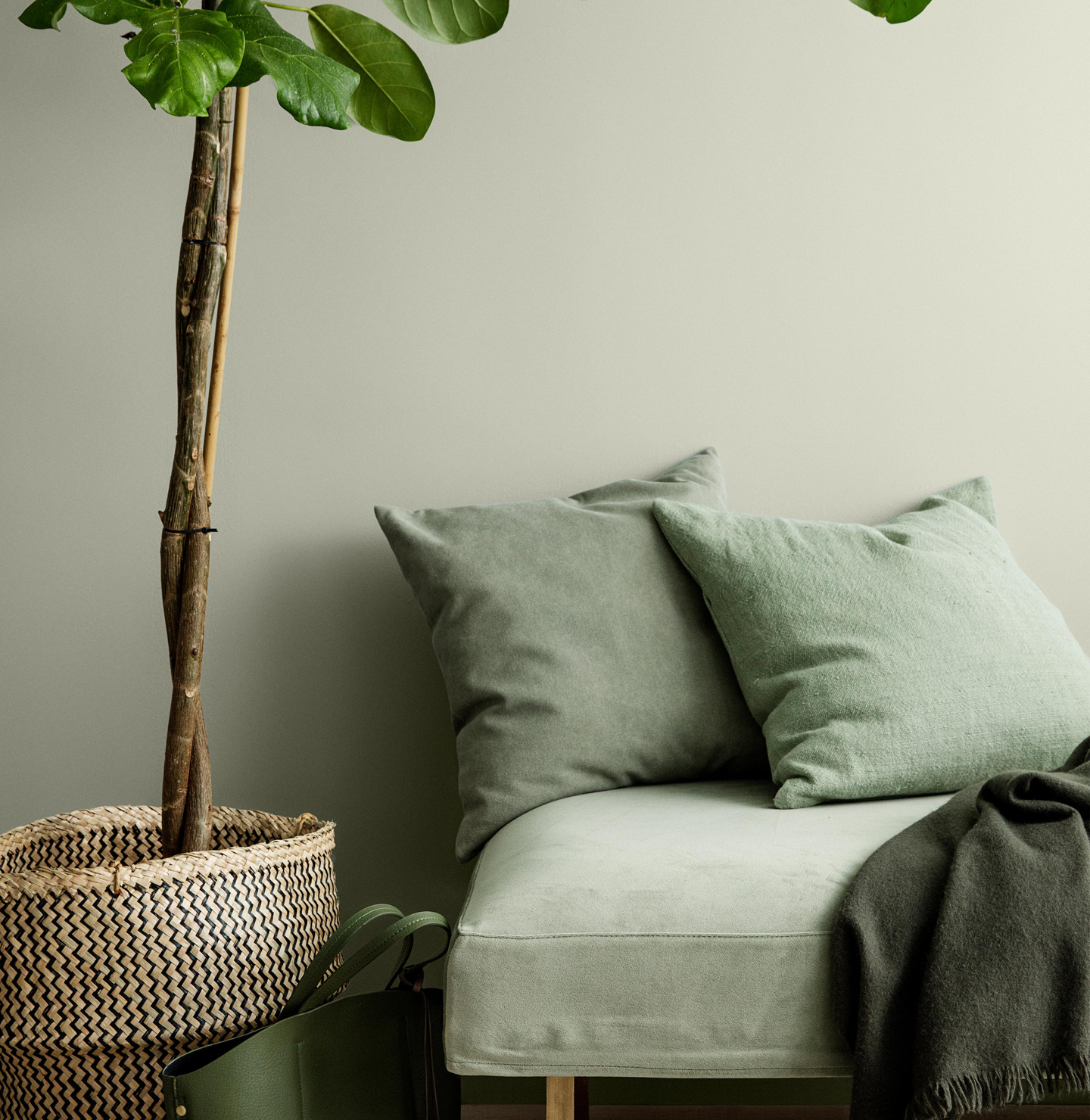 Beautiful green colour for your living room – Jotun 8281 Pale Linden