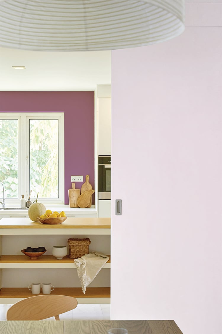 3187 VINTAGE COAT - Interior paint colour