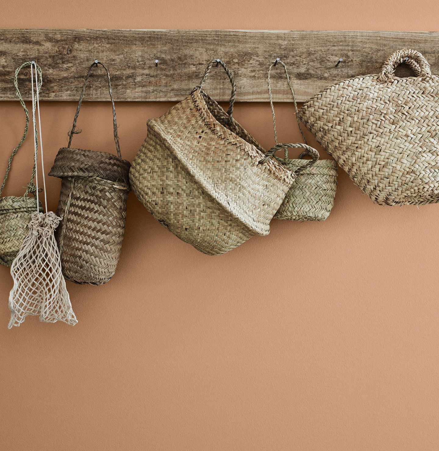 12074 PEACHY - Interior paint colour