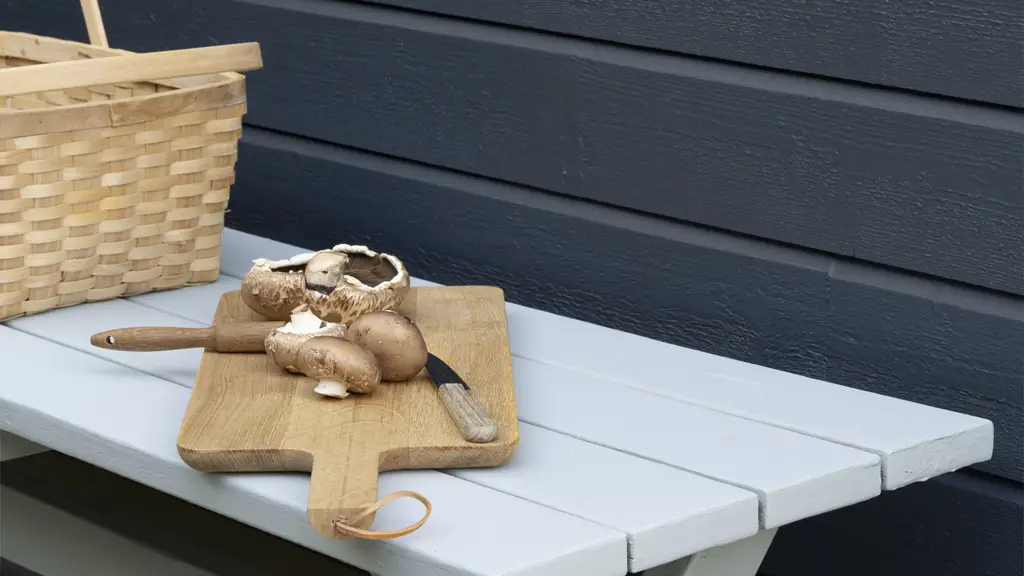 DRYGOLIN Optimal | Jotun.dk