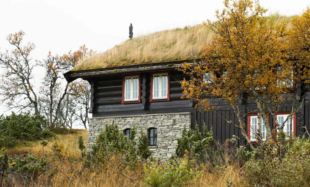 TREBITT Transparent - Jotun