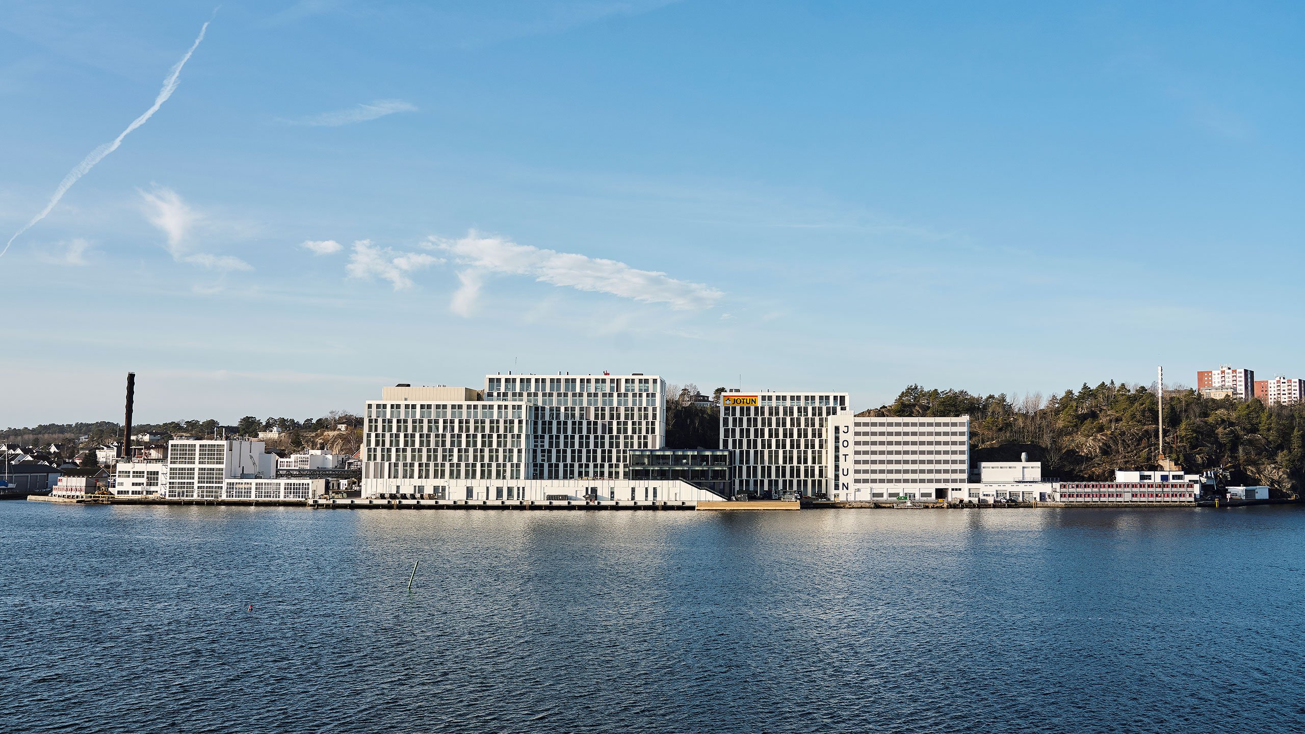 Management and board of directors