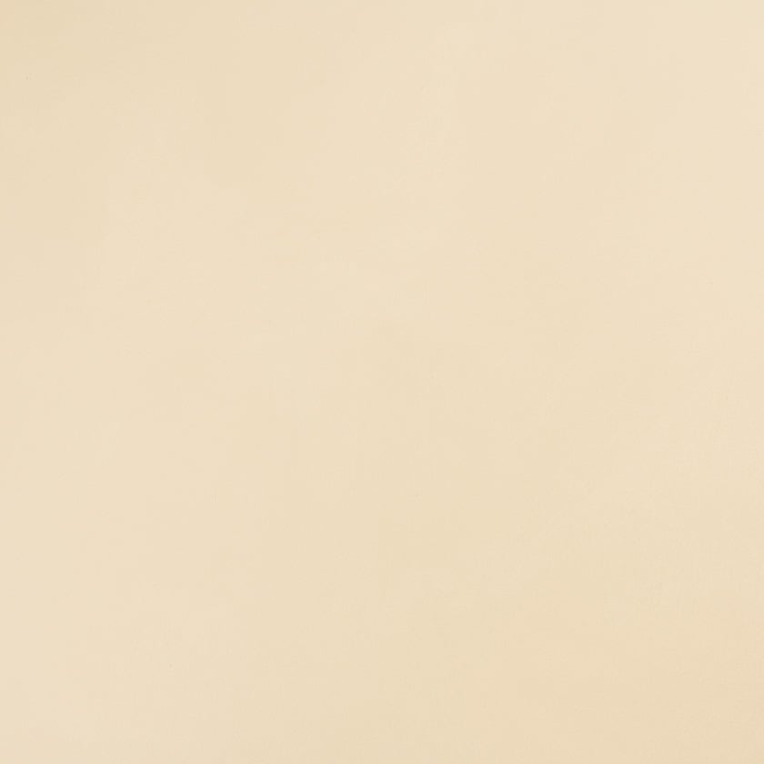 10342 SABLE STONE - Fenomastic - Interior paint colour 10342 SABLE STONE - Fenomastic - Interior paint colour