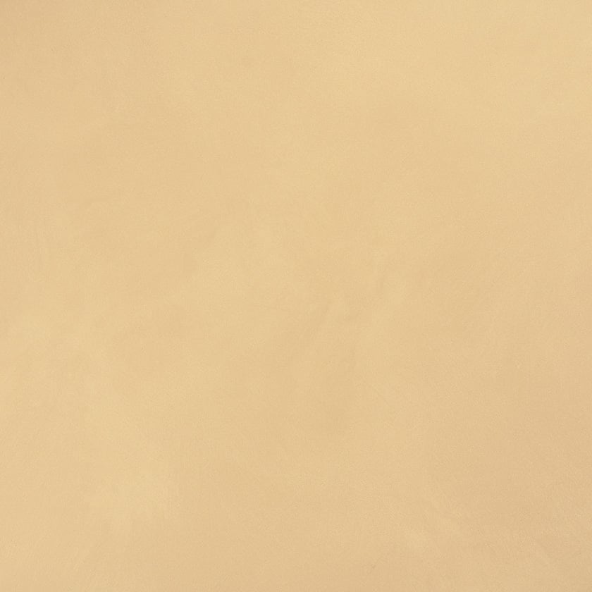 12125 IMPRESSION - Interior paint colour