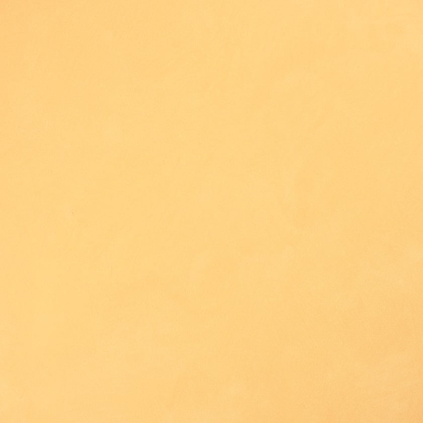 1520 CHEERFUL PEACH - Interior