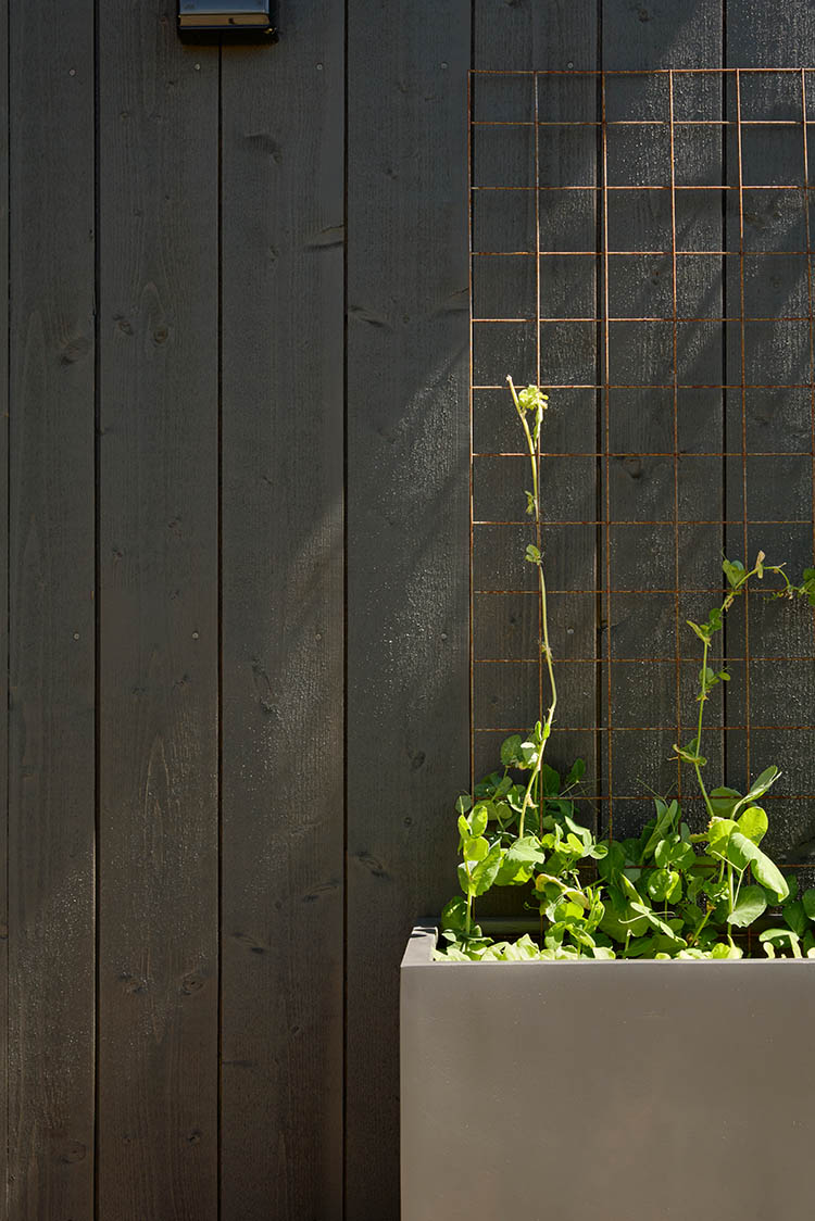 TREBITT 90033 Funkissvart